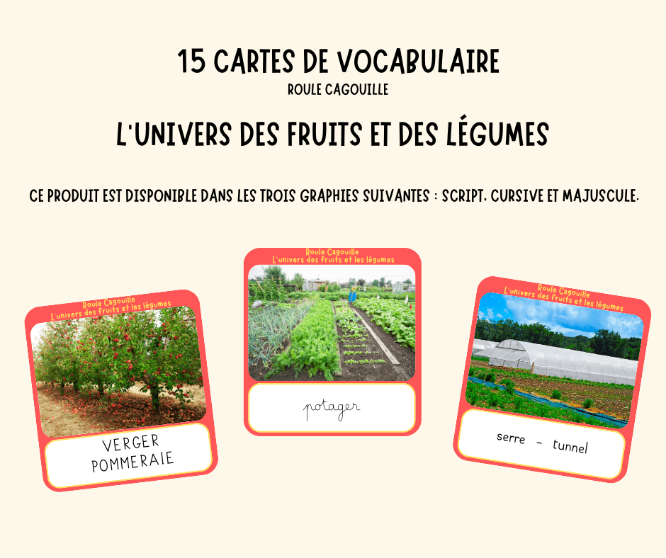 cartes de vocabulaire : l'univers des fruits et légumes - Roulecagouille